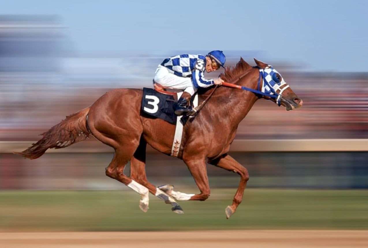 Secretariat proves he's a unique breed - Inspirational Stories - Funny ...
