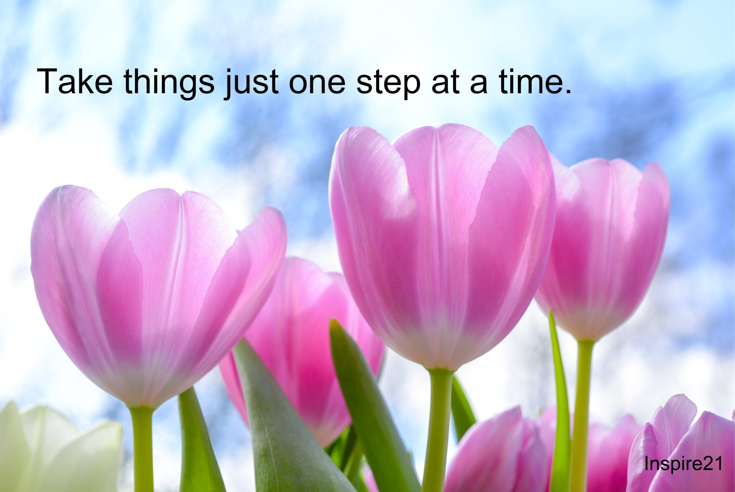 Take everything just one step at a time. - Inspirational Quote