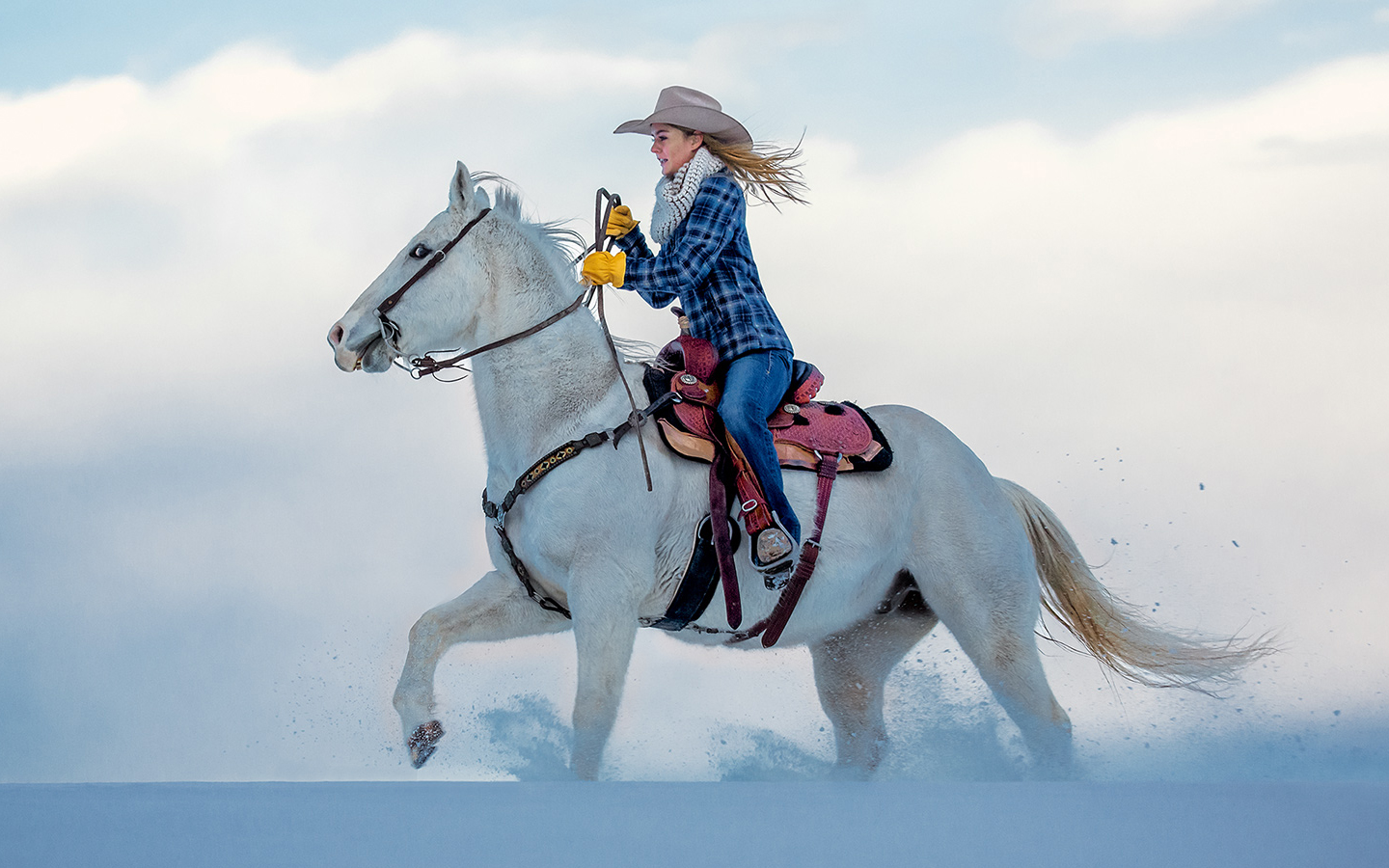 Two Sisters and a Bull - Inspirational Stories - Funny short stories